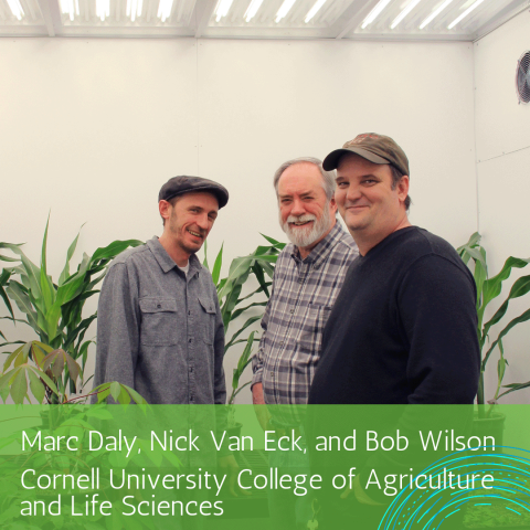 Staff Sustainability Champions: Marc Daly, Nick Van Eck, and Bob Wilson | Sustainable Campus